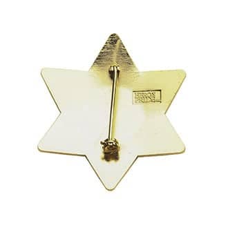 LawPro Deluxe Security Officer Six Point Star Badge