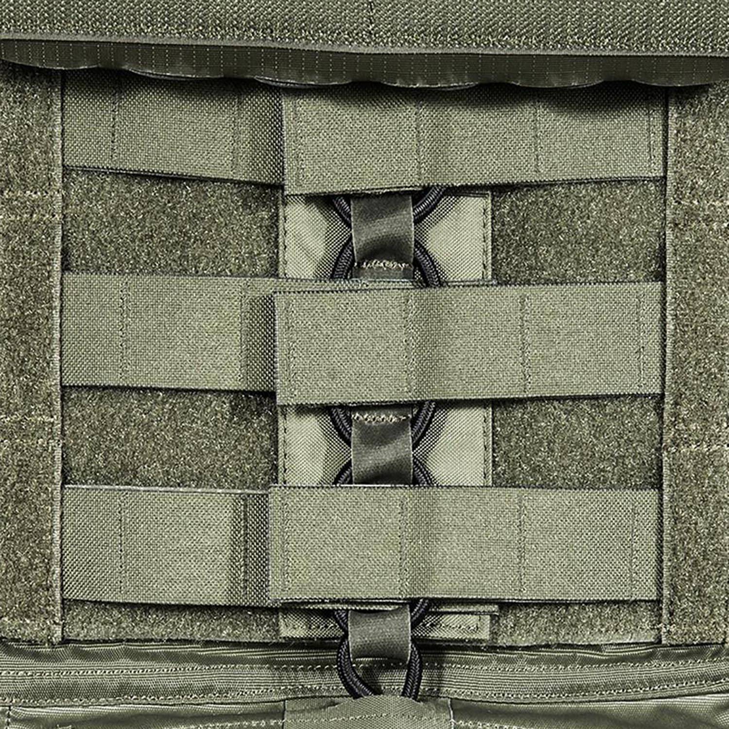 Tasmanian Tiger Plate Carrier QR LC | Galls