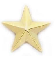 LawPro Star Insignia Set