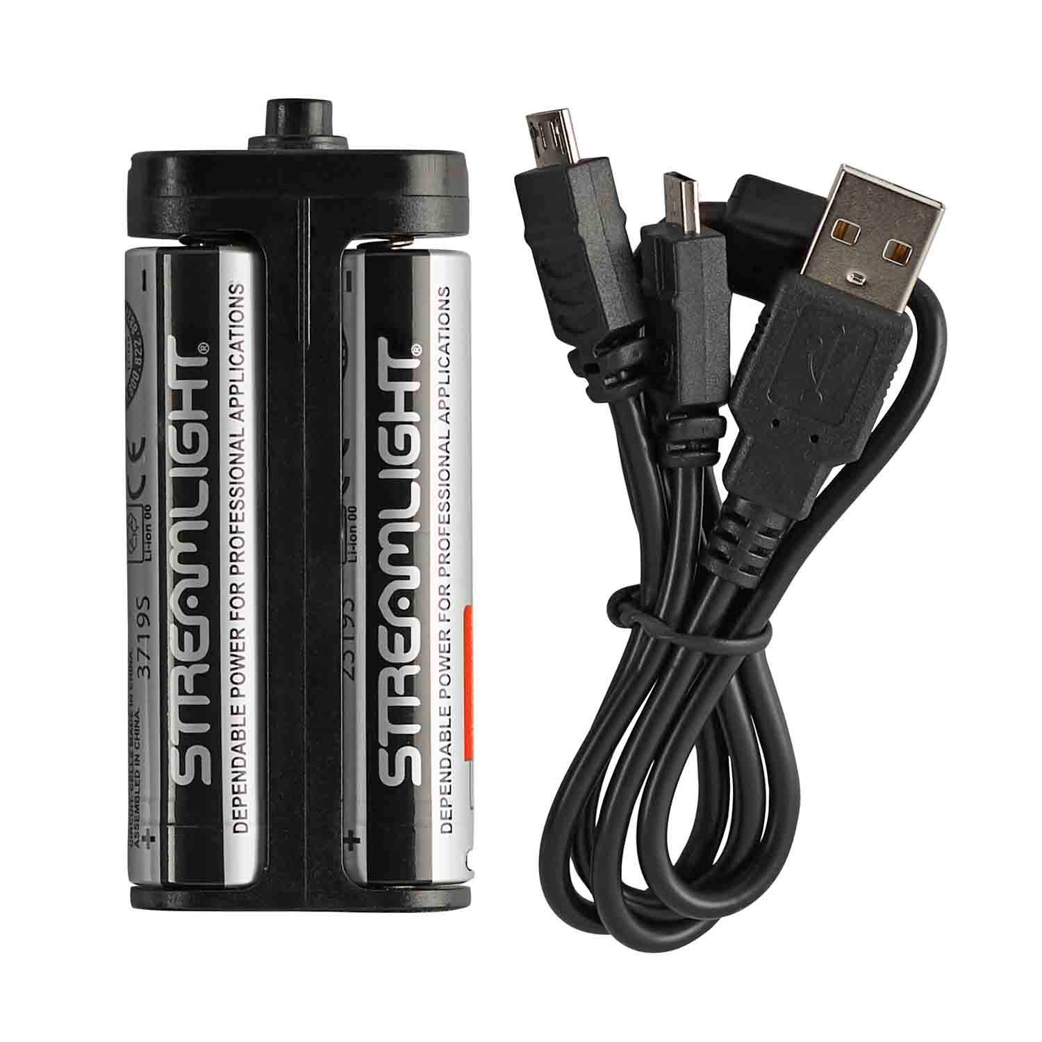 Streamlight Stinger 2020 LED Flashlight - 12V DC