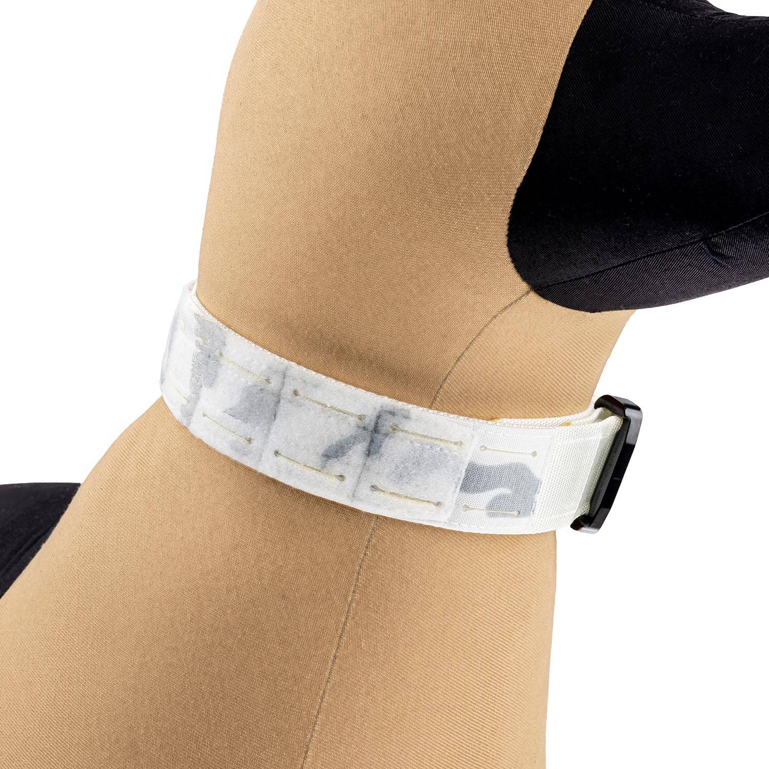 Raptor Tactical Odin K9 Collar | Galls