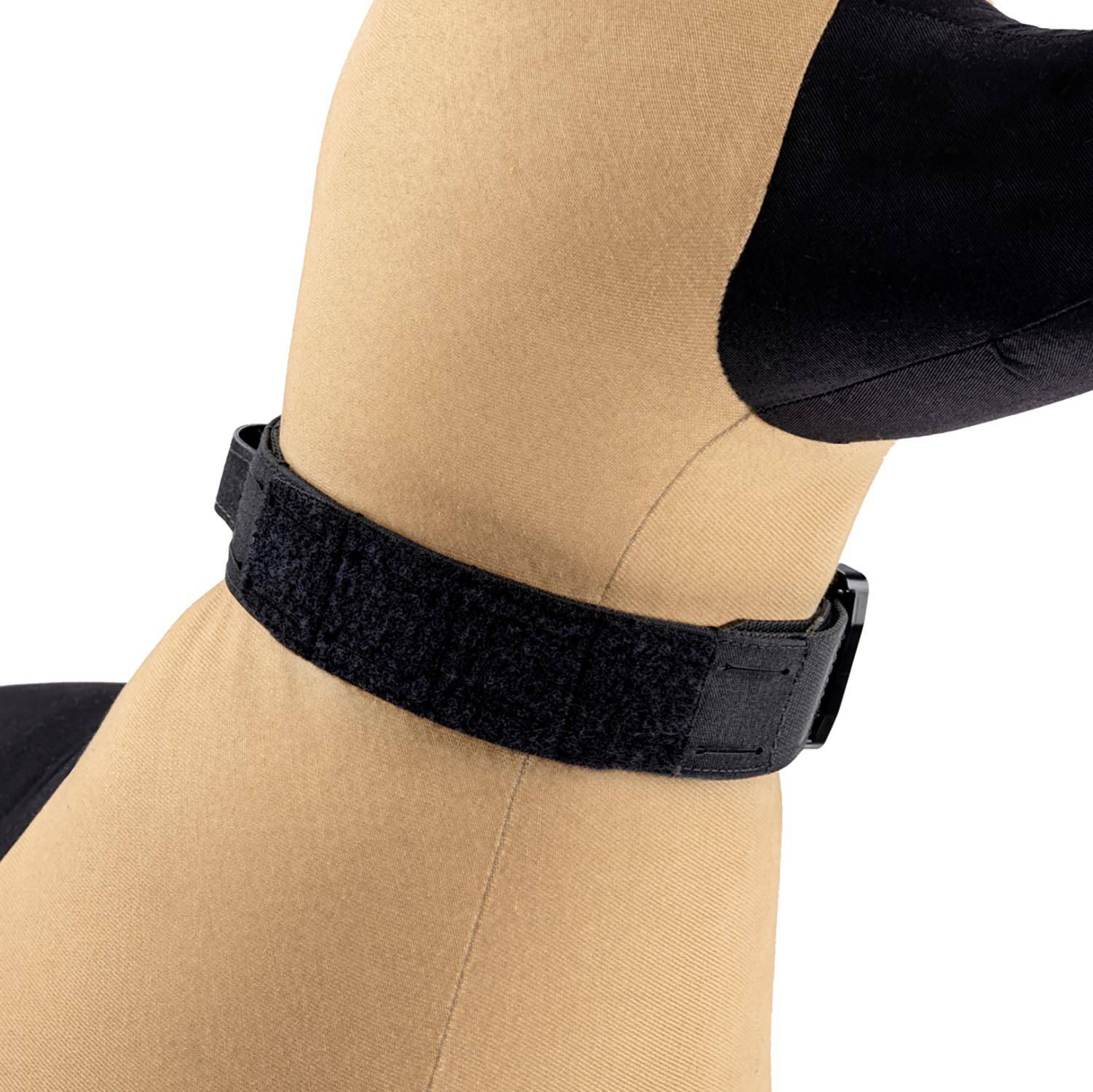 Raptor Tactical Odin K9 Collar | Galls