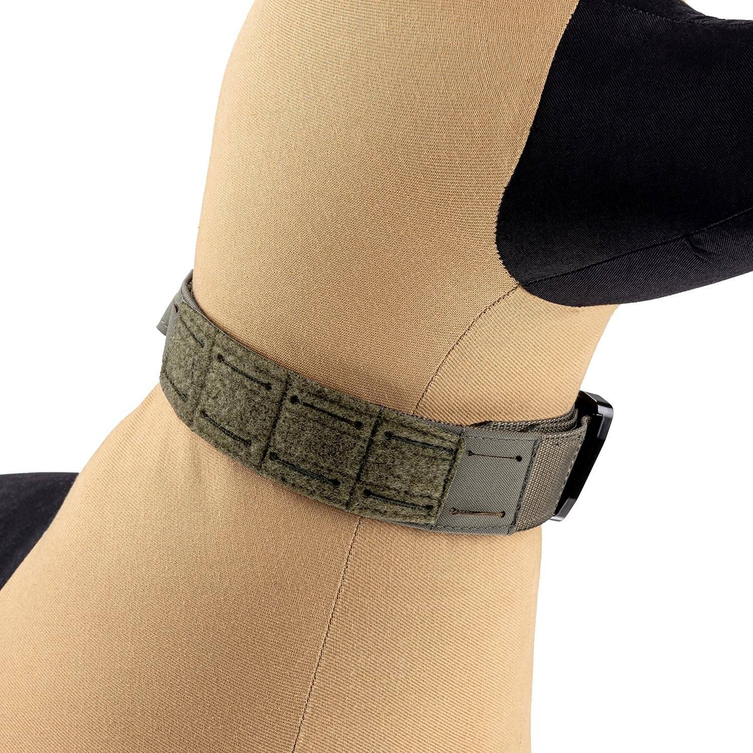 Raptor Tactical Odin K9 Collar | Galls