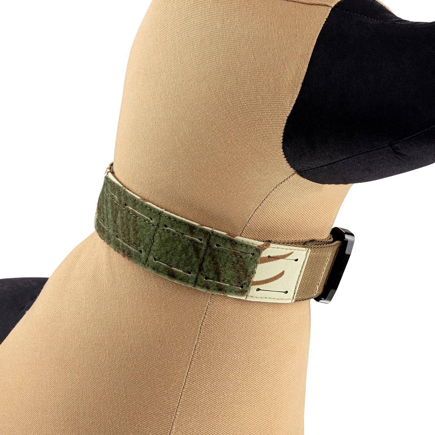 Raptor Tactical Odin K9 Collar | Galls