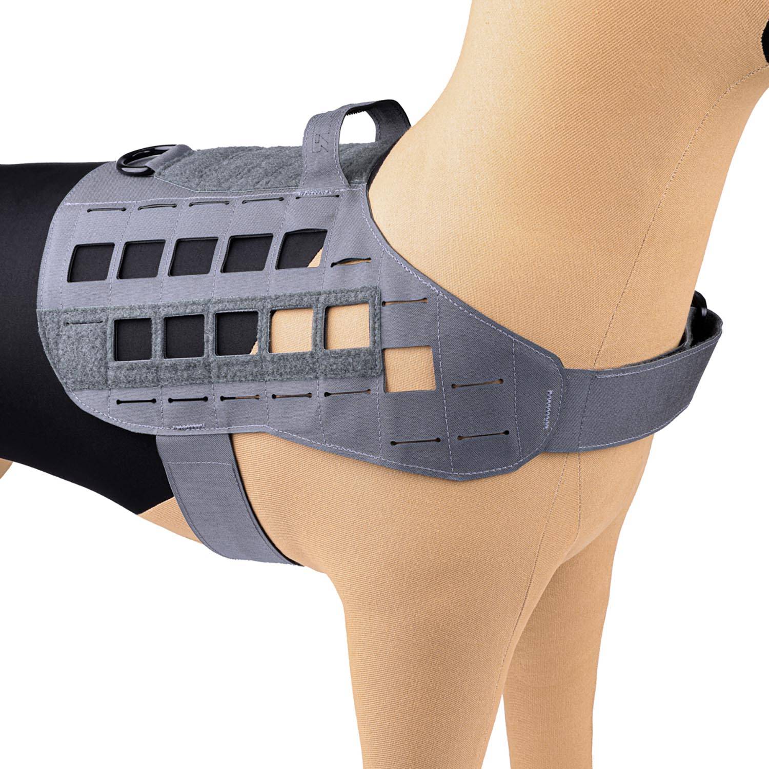 Raptor Tactical K9 Zephyr Dog Harness MK2 | Galls