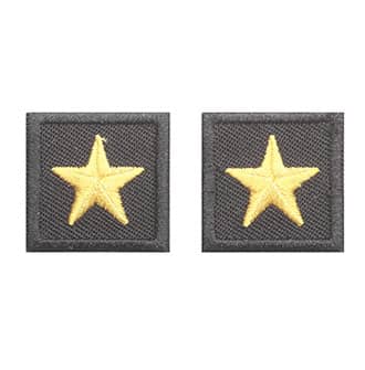 Penn Emblem Embroidered Collar Insignia Emblems