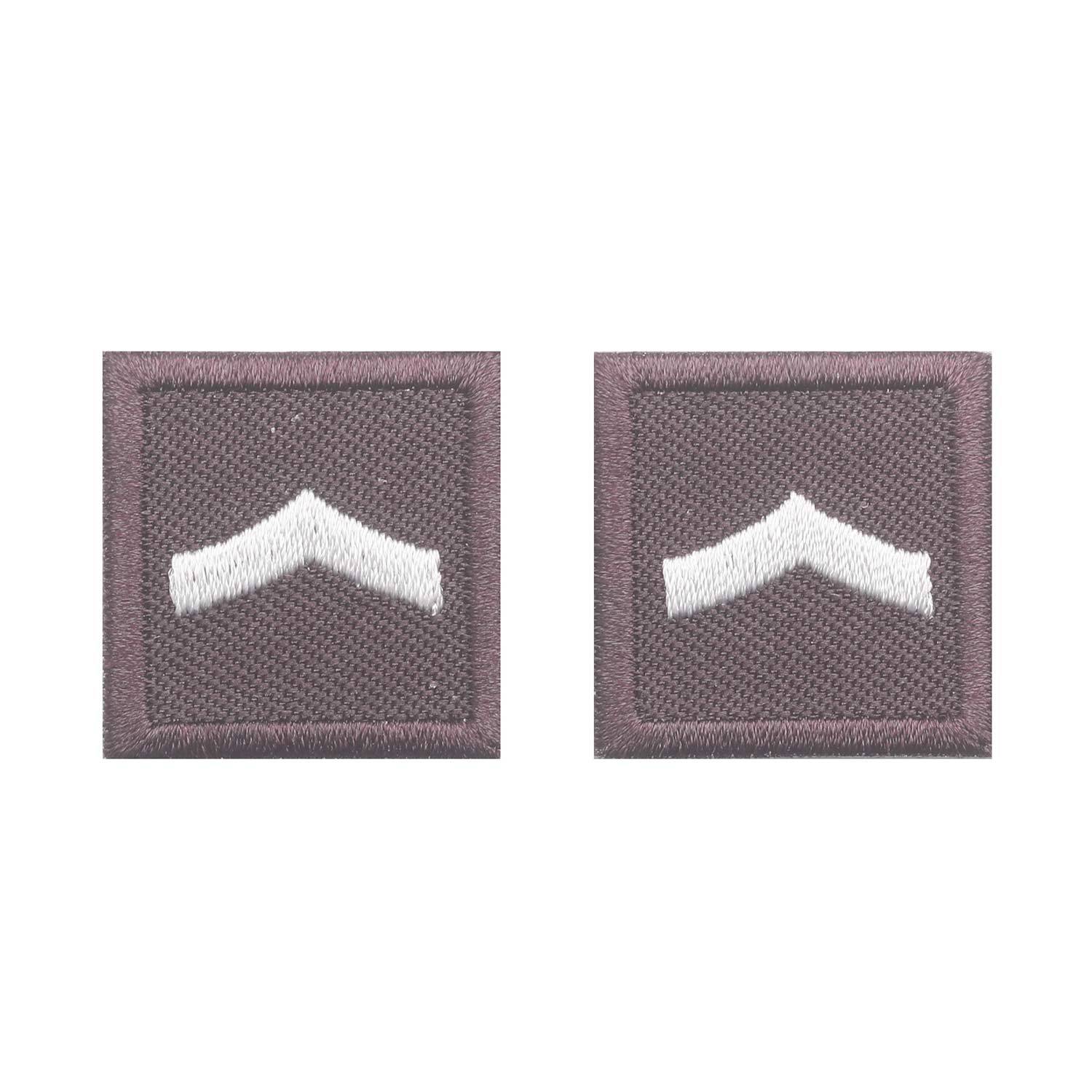 Penn Emblem Embroidered Collar Insignia Emblems