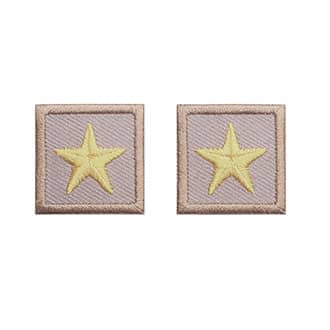 Penn Emblem Embroidered Collar Insignia Emblems