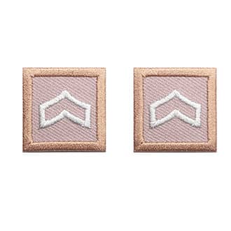 Penn Emblem Embroidered Collar Insignia Emblems